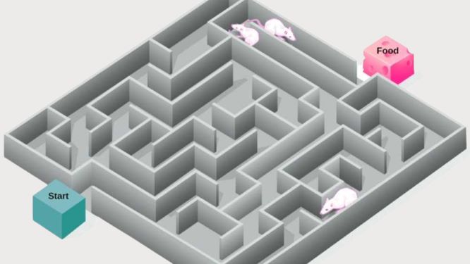 2.4 Learning Theories: Classical theory, Operant Theory, Cognitive ...